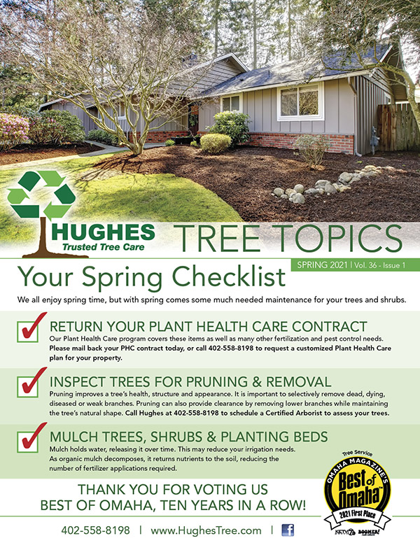 Newsletter – Hughes Tree Service